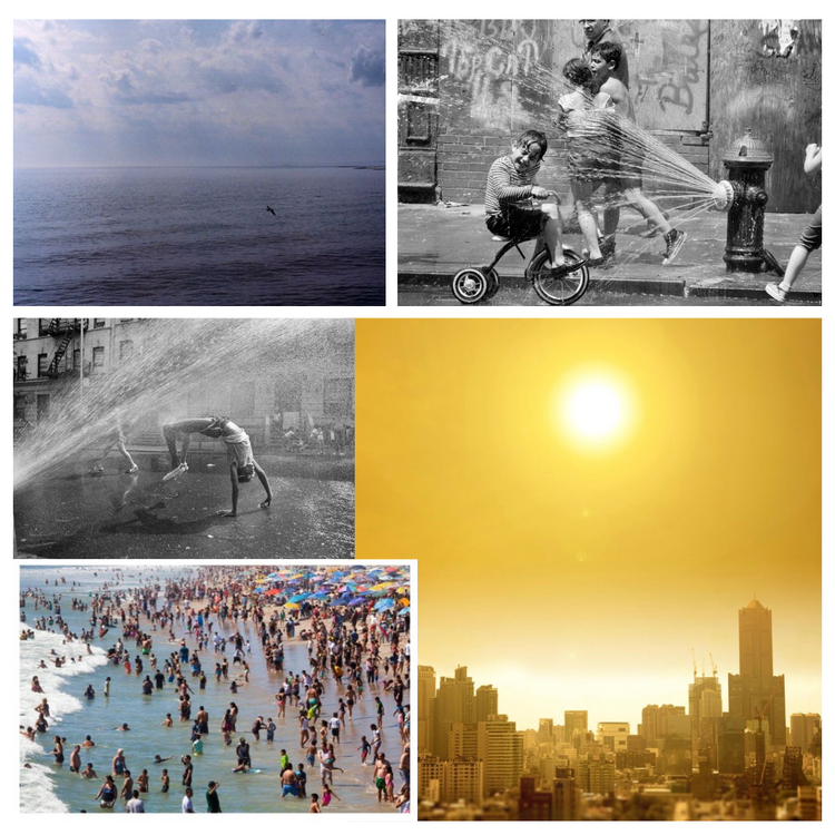 Hot in the City = Pitta Season – MAÄT